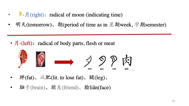 Constructions – Basic Chinese Characters of CHI 103 & 108