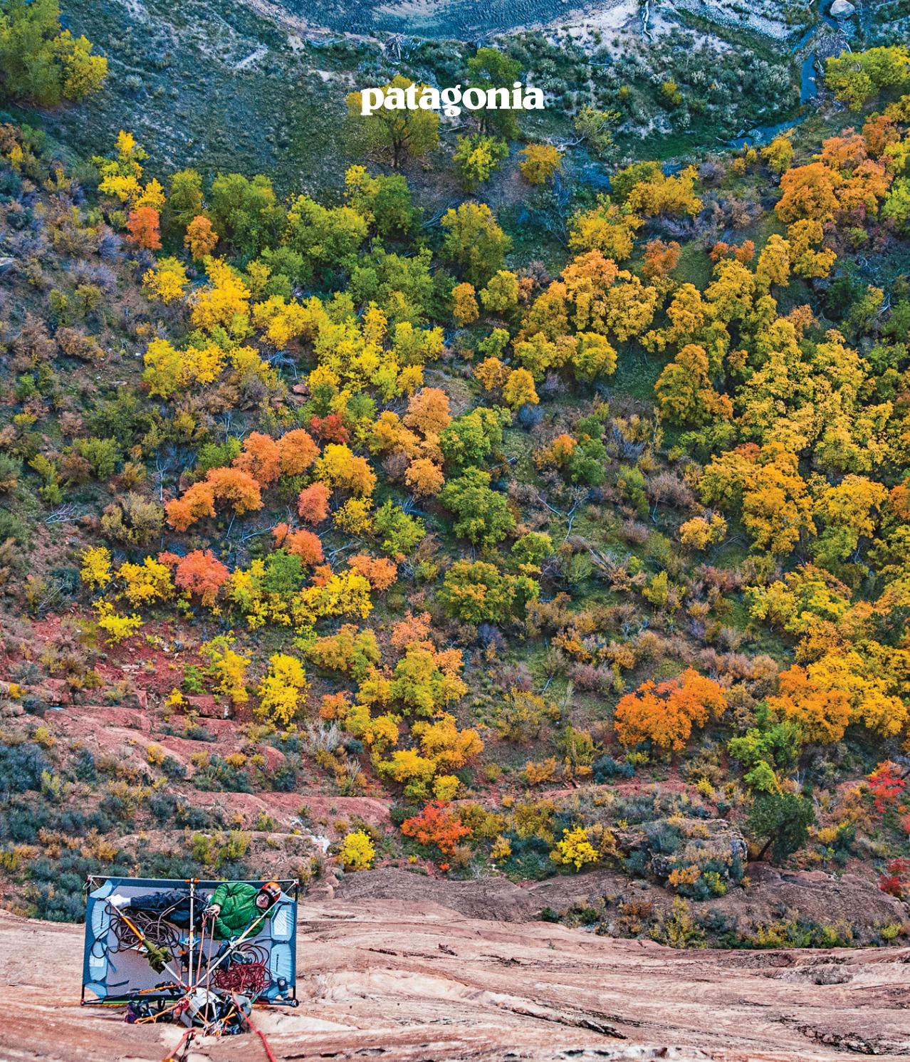 A Complex and Faulty Relationship between Two Patagonias – Bradley R ...