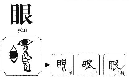 眼睛 yǎnjīng – 365 Chinese Characters